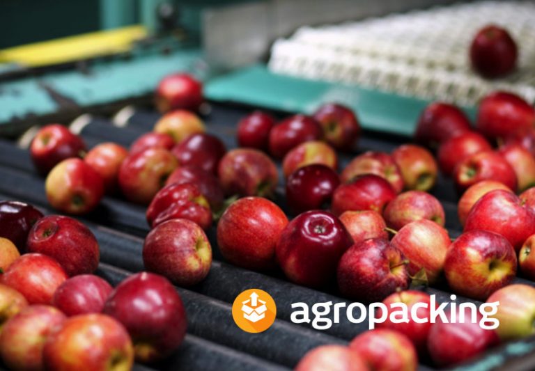 AGROPACKING – Agrosoft